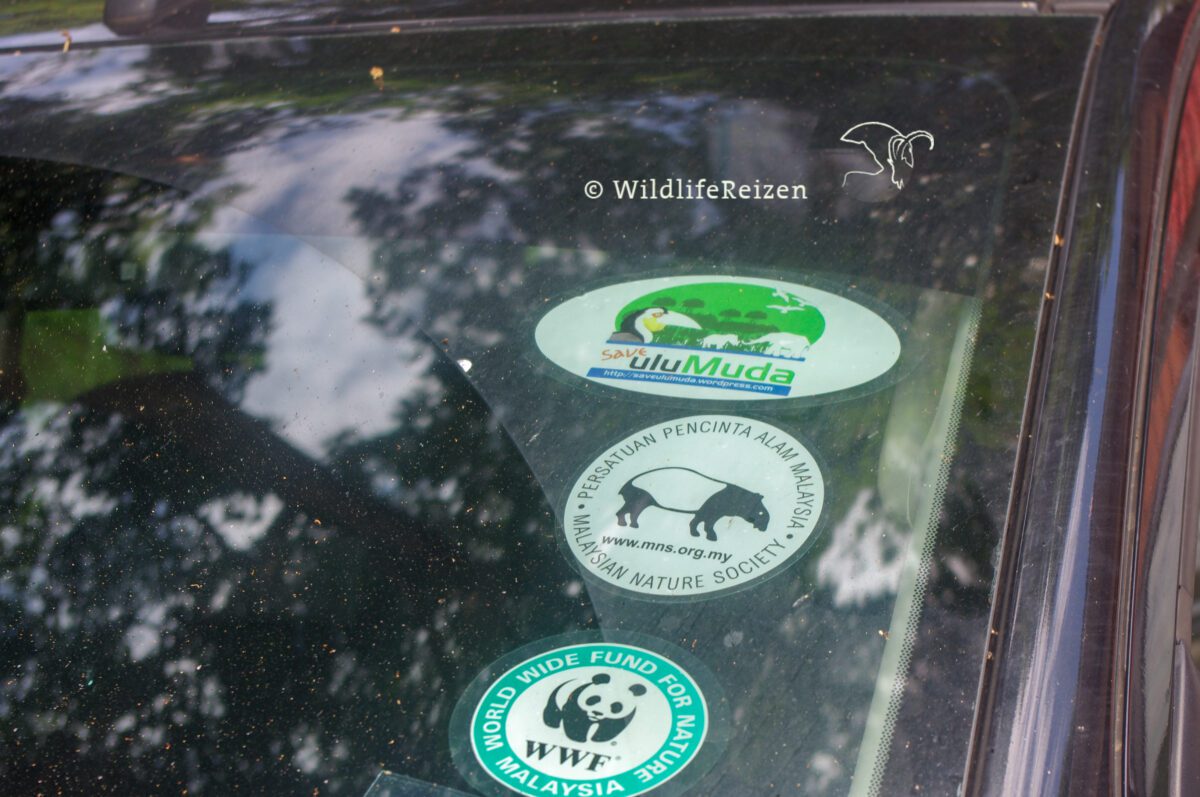Ulu Muda:het Maleisische paradijs! - Wildlifereizen