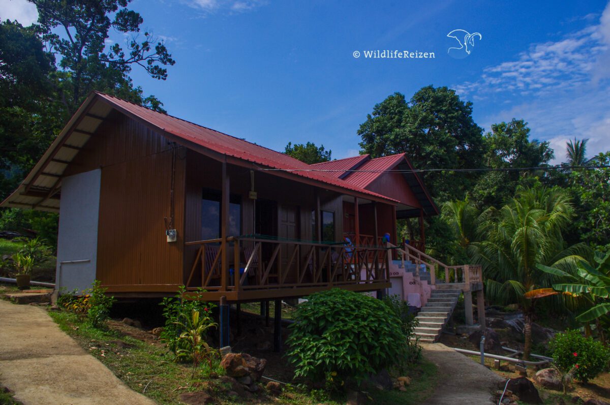 De 6 gaafste activiteiten op Pulau Tioman: Een tropische paradijs in ...