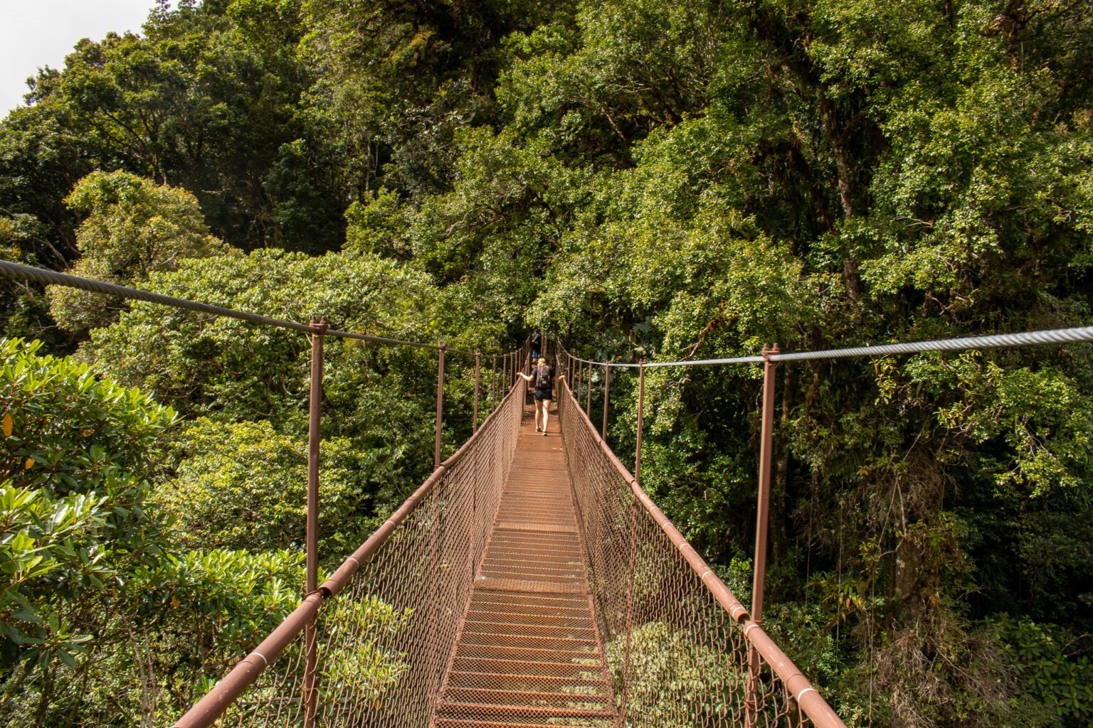 5x wat te doen in Boquete! - Wildlifereizen