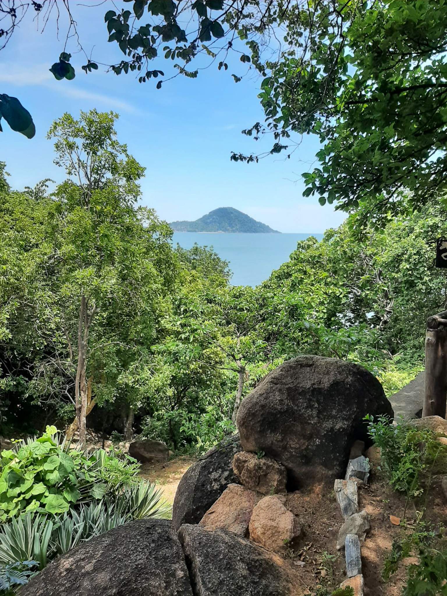 Wat te doen in Senga Bay? - Wildlifereizen