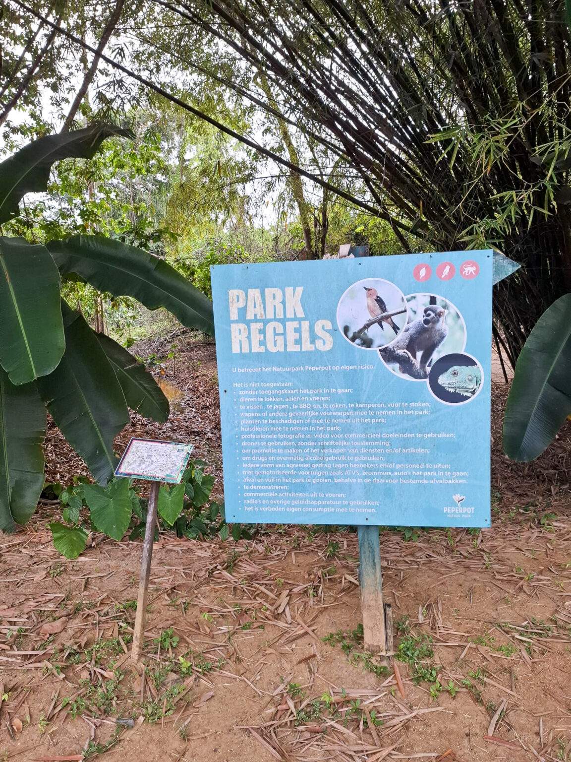 Peperpot Nature Park: De Surinaamse jungle op steenworp afstand van ...